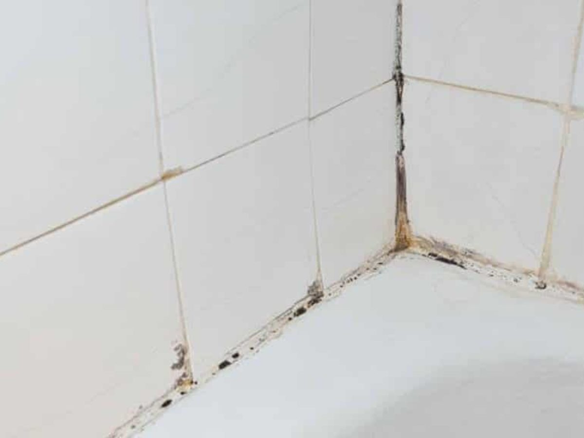 La Technique Ultime Pour Nettoyer Les Joints De Carrelage avec Nettoyer ... La Technique Ultime Pour Nettoyer Les Joints De Carrelage avec Nettoyer ...